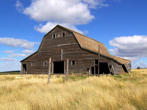 California Girl Meet Small Town USA: Is Your Barn Overflowing?