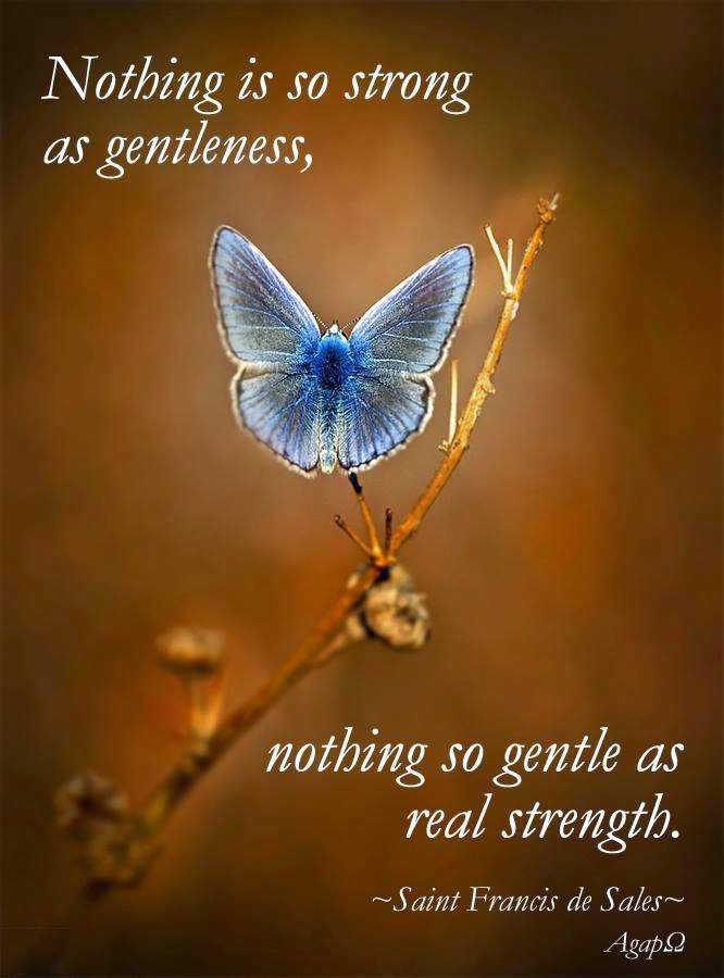 Nothing Is So strong as Gentleness, Nothing so gentle as real Strength ...