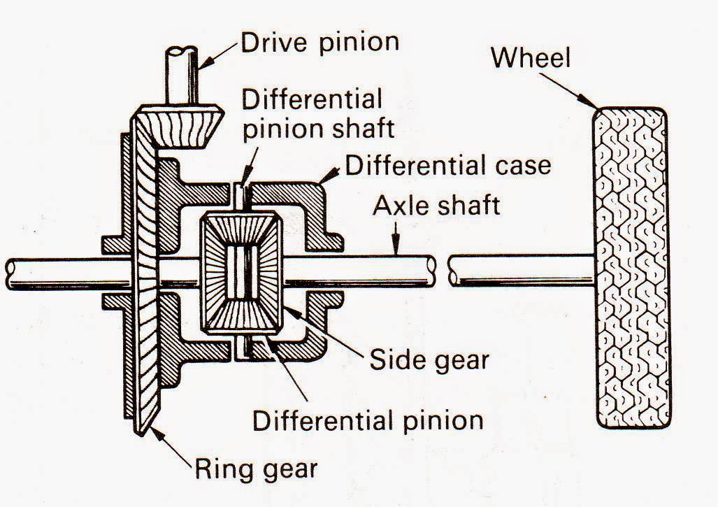 Automotive Education: Differential