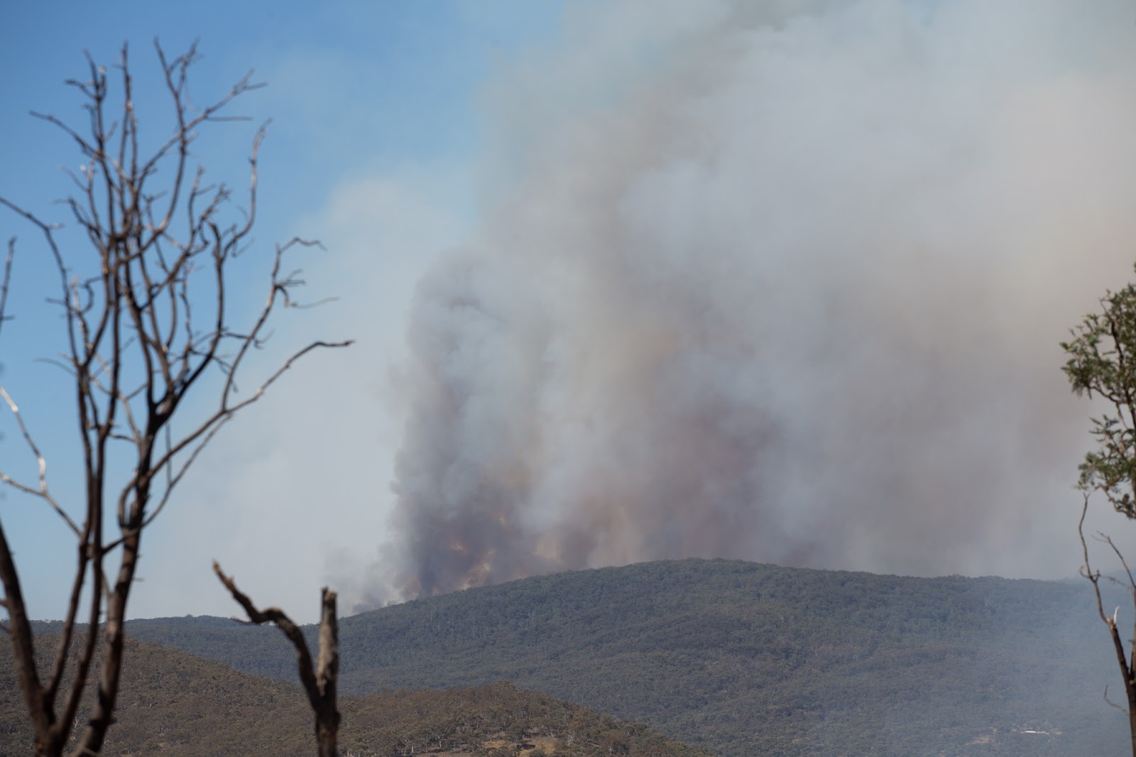 Tallaganda Fire (North Black Range Fire and Palerang Fire)