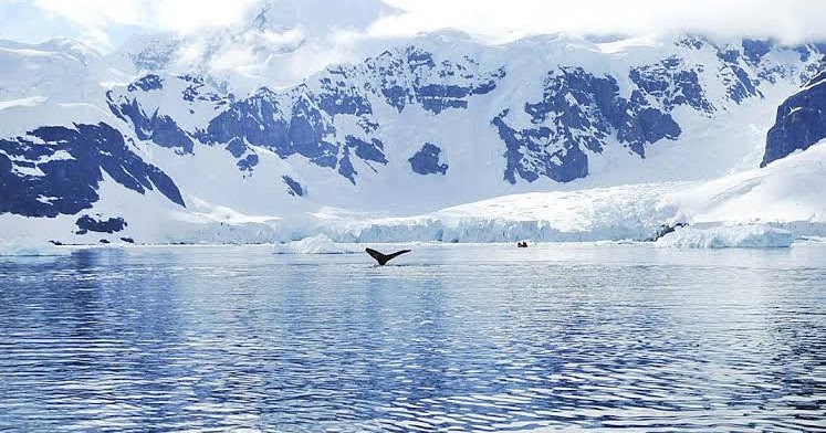 El increíble continente de la Antártida, un paraíso científico