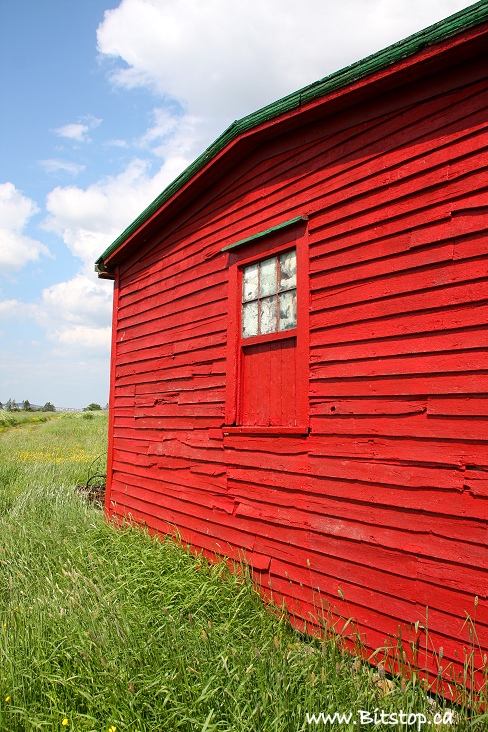 Bitstop: The Little Red Shed