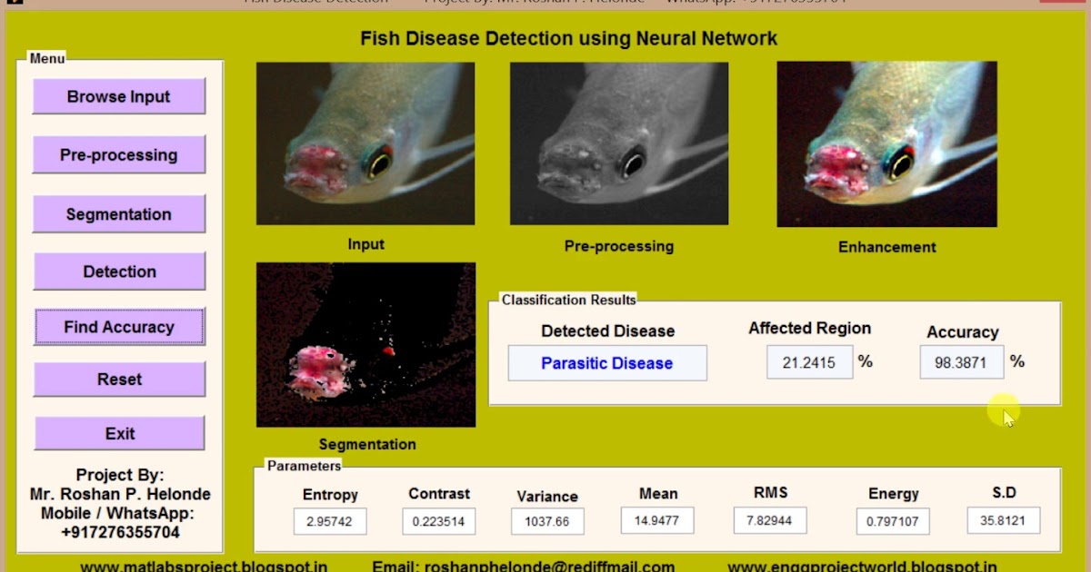 Fish Disease Detection using Neural Network Matlab Project with Source ...