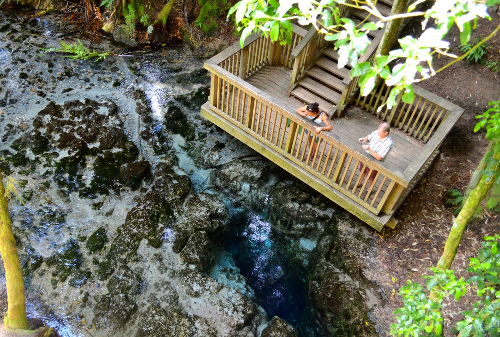 Oh, The Things I Think: Travel Thursday - Hamurana Springs, NZ