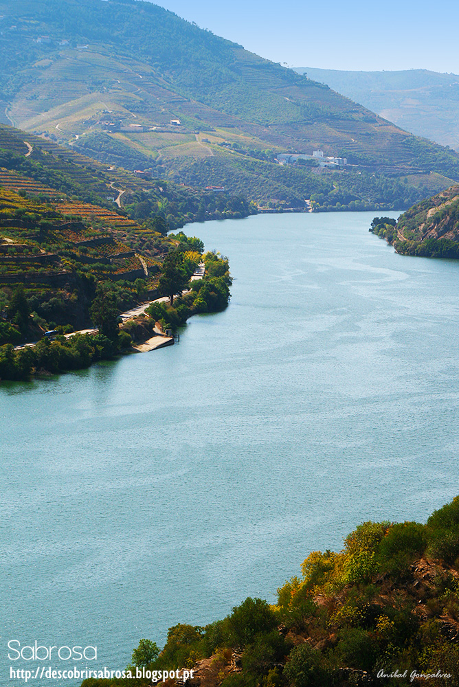 À Descoberta de Sabrosa: Descobrir Sabrosa