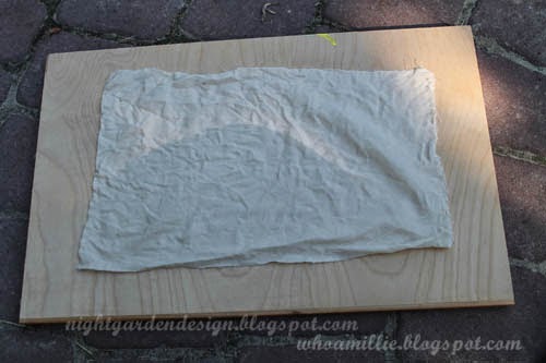 Night Garden Blog: sun printing on fabric (seriously the best surface ...