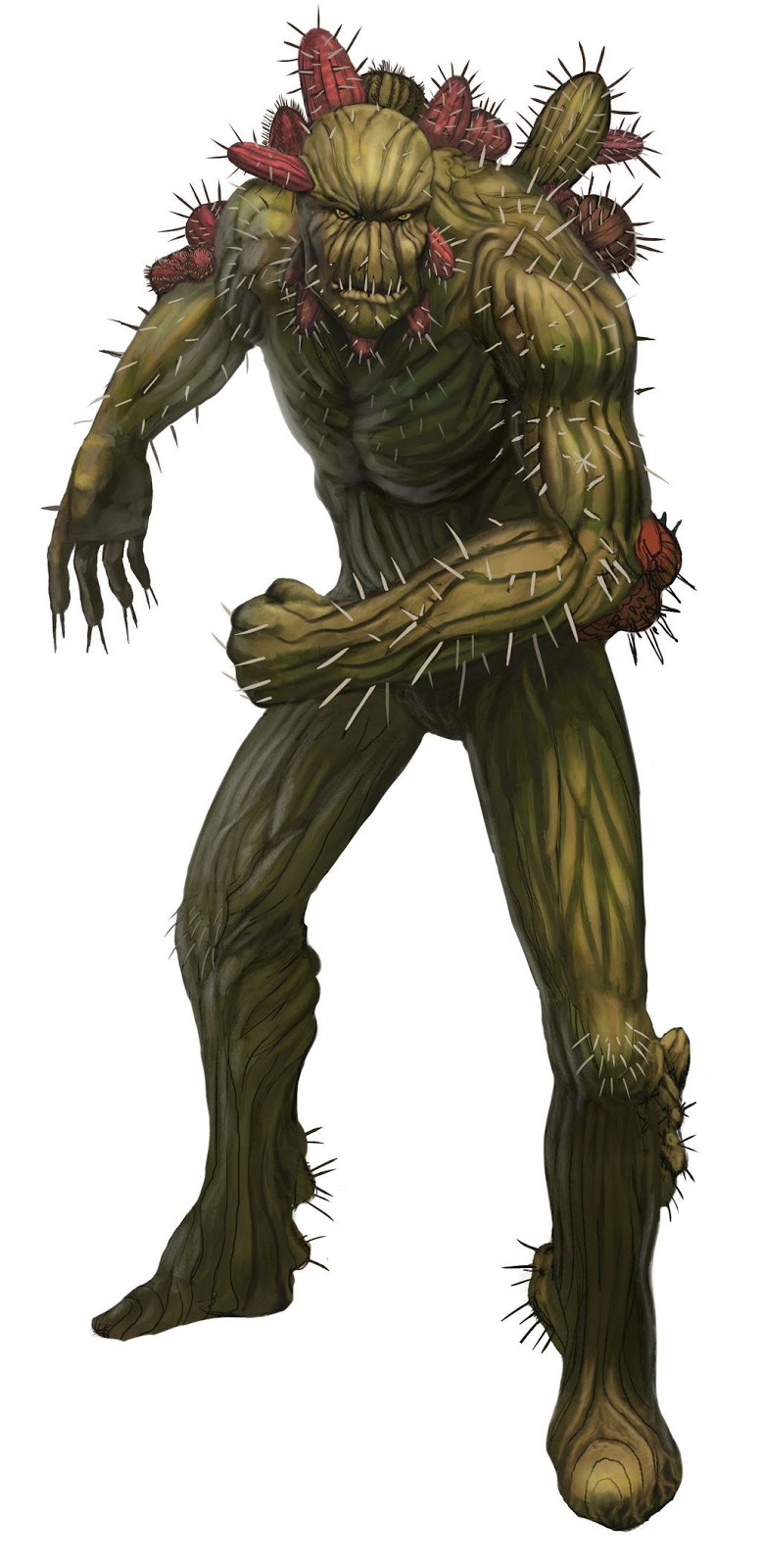 From the Sorcerer's Skull: Cactoid [5e Race]