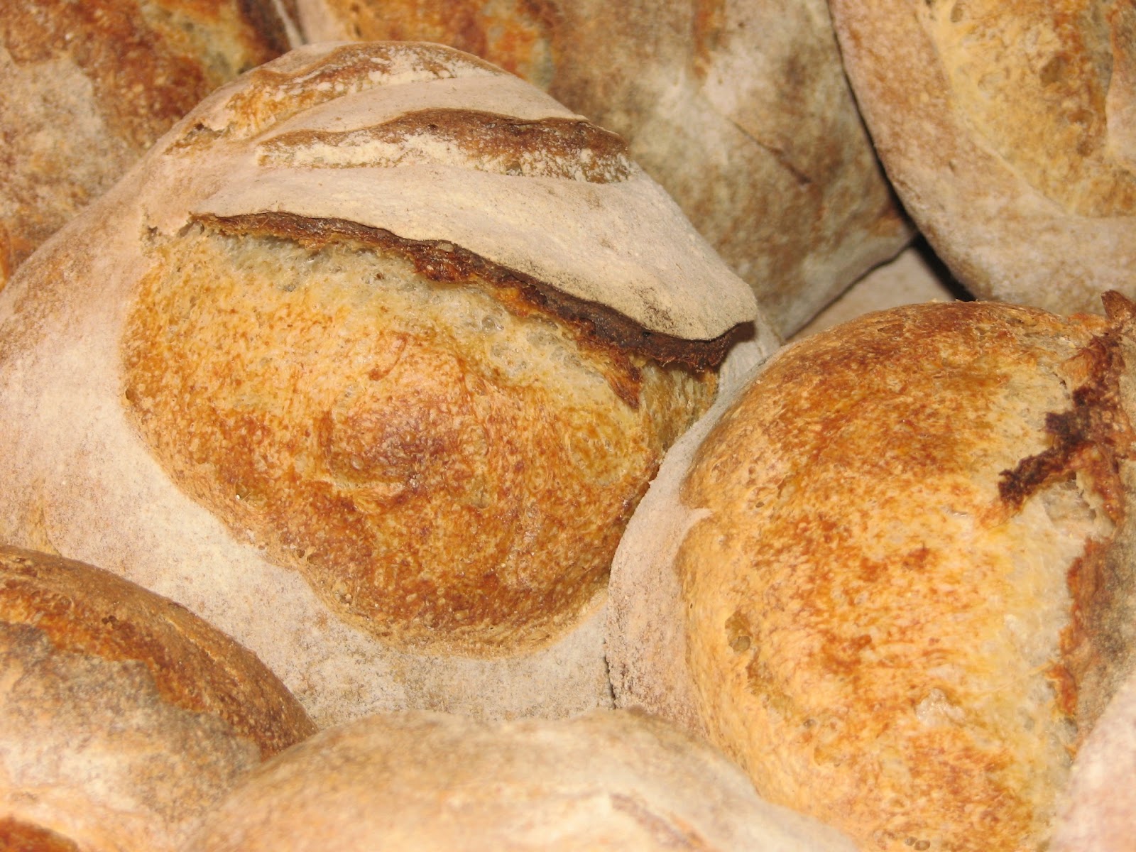 Mad Coyote Joe's Blah Blah Blog: 6/23/13 - 6/30/13