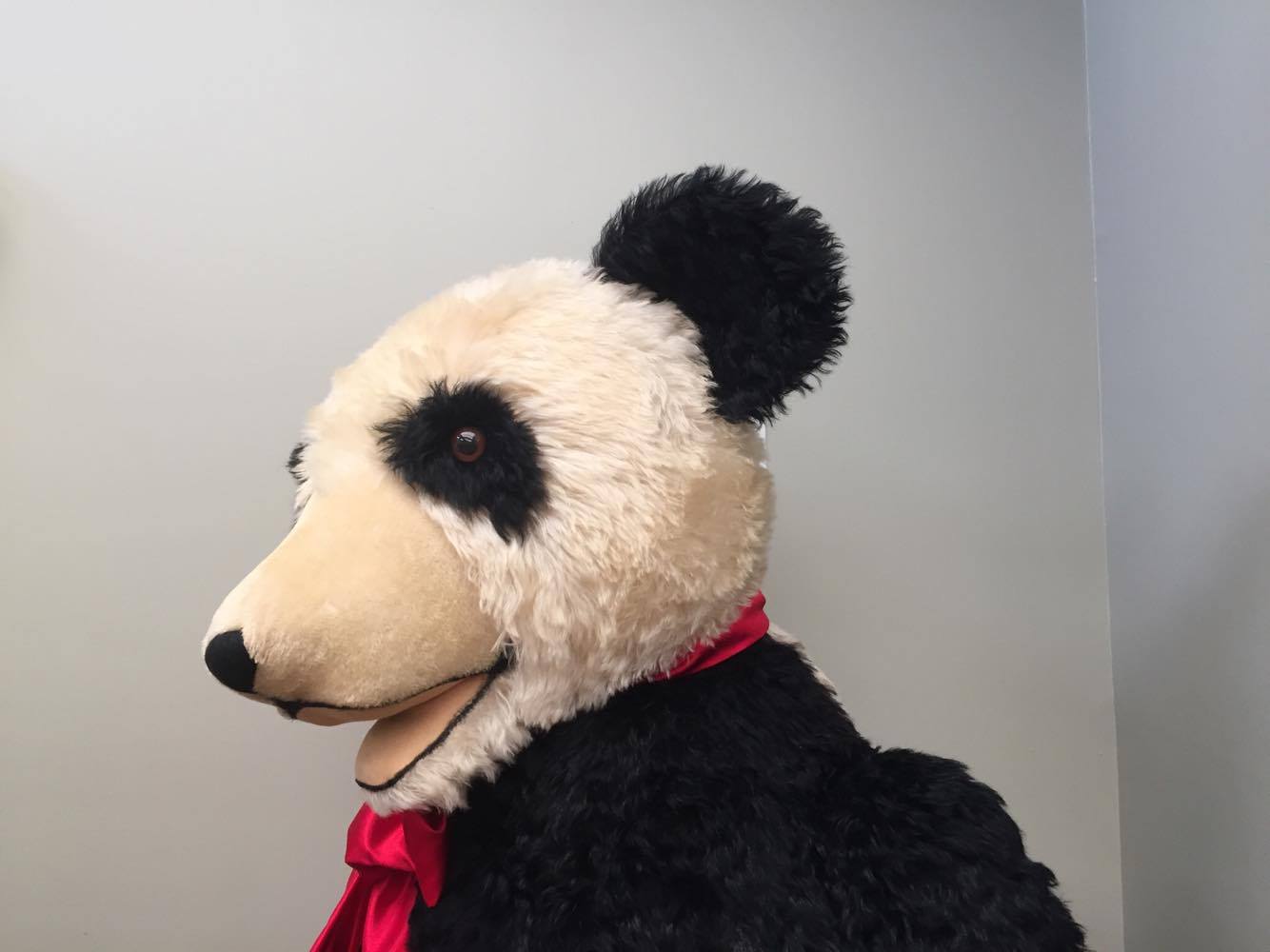 MY STEIFF LIFE: Are You A Fan of Dandy Dan?