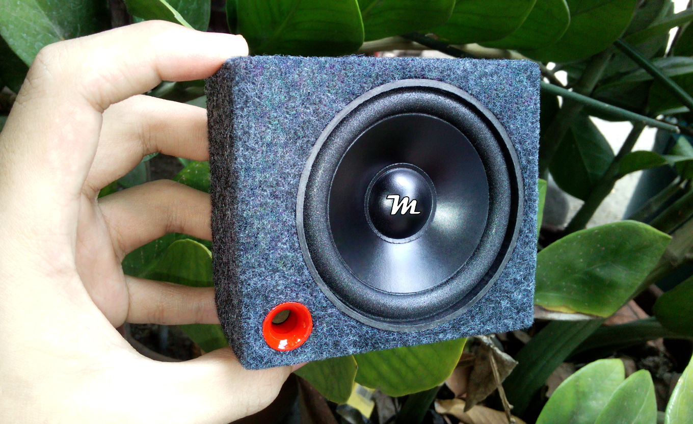 DIY Mini Subwoofer: Mini Subwoofer Epic Bass Test