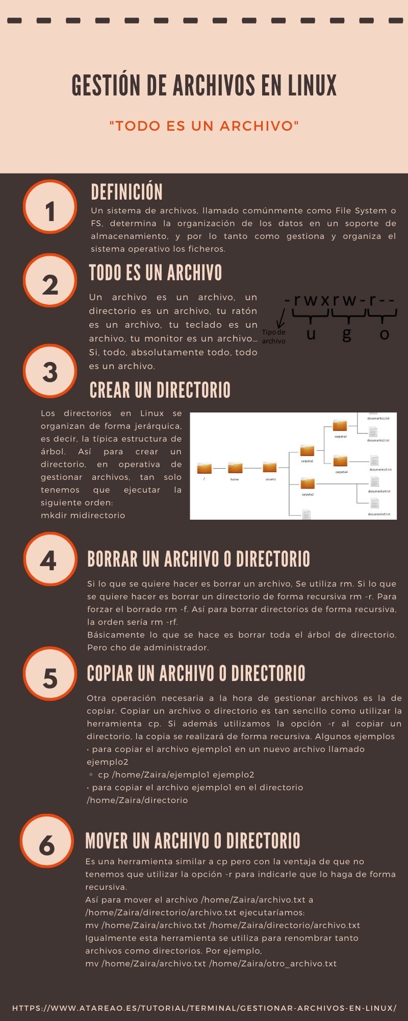 Gestión de archivos en Linux (Infografia)