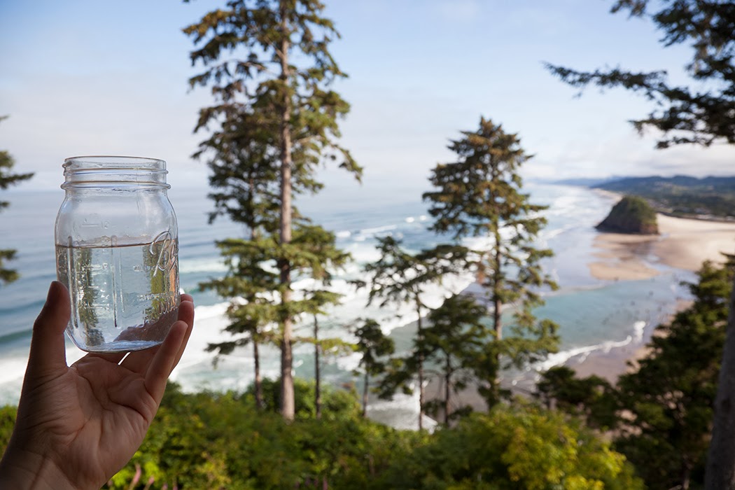 Something Between Want and Desire: "Clear Water Samples"