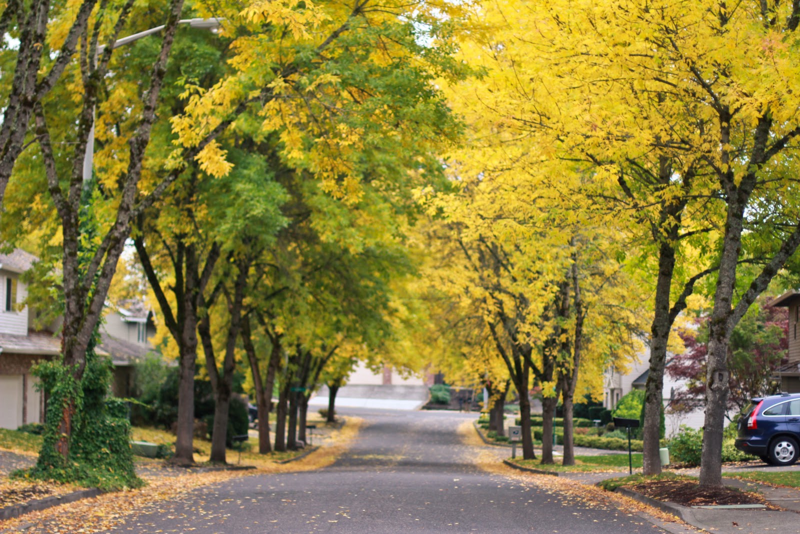 explore. dream. discover.: I Love Autumn