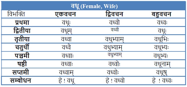 Vadhu shabd roop in Sanskrit