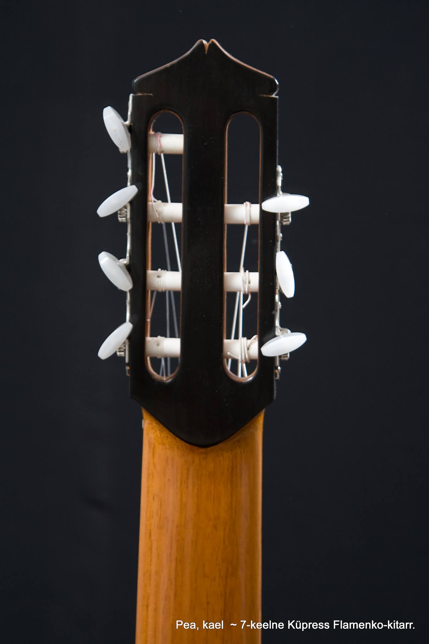 Guitarras custom construídas por Rodolfo Cucculelli, Luthier: 7-keelne ...