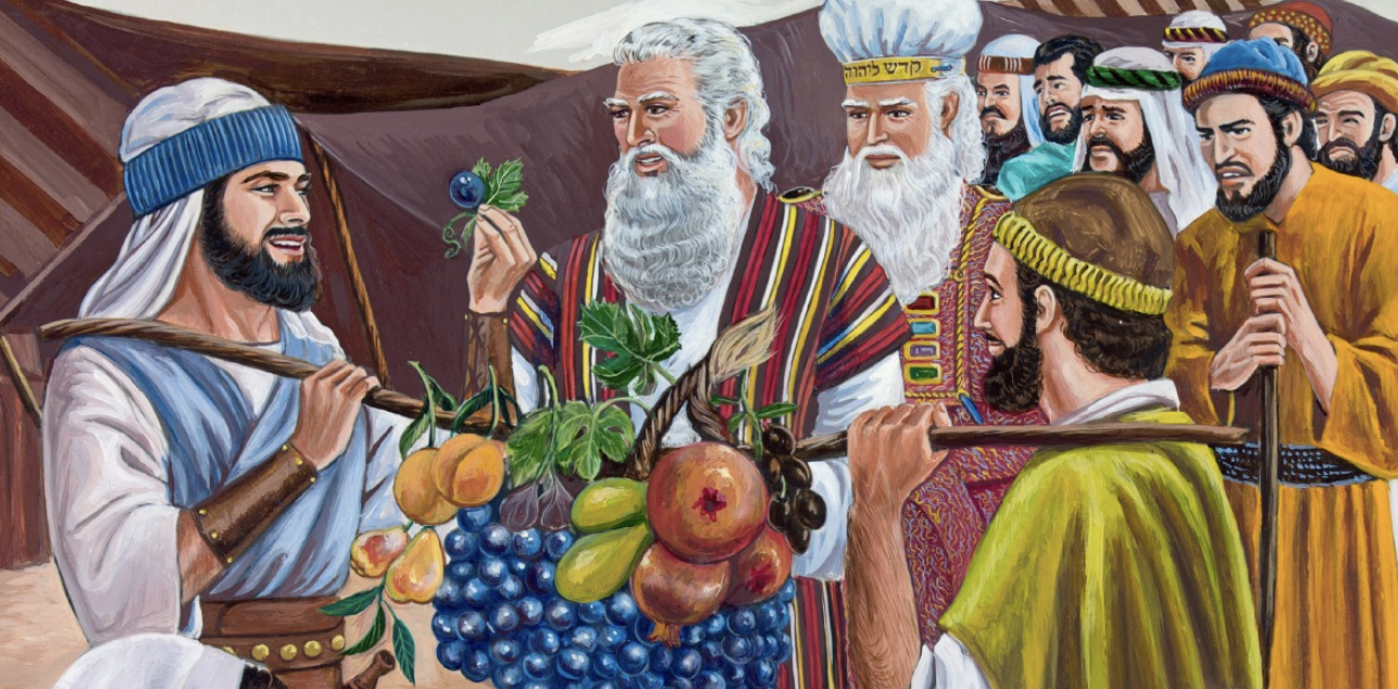 DUS IZ NIES !! Rare View...: Parshas Shlach ...The Story of the ...