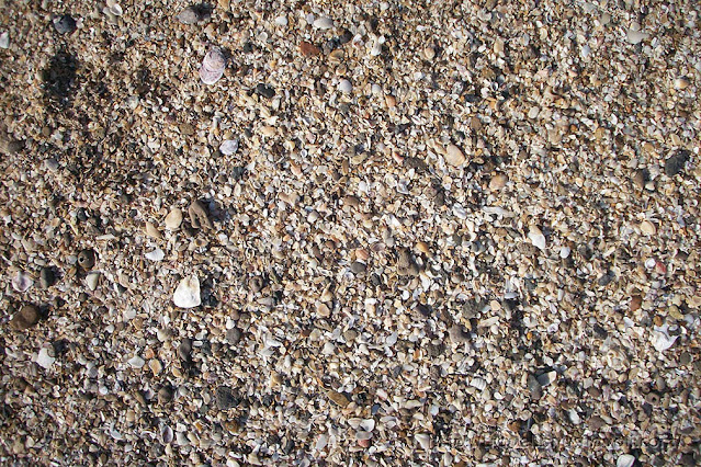 Day trip to Manori Beach & Sanjay Gandhi National Park (Mumbai ...