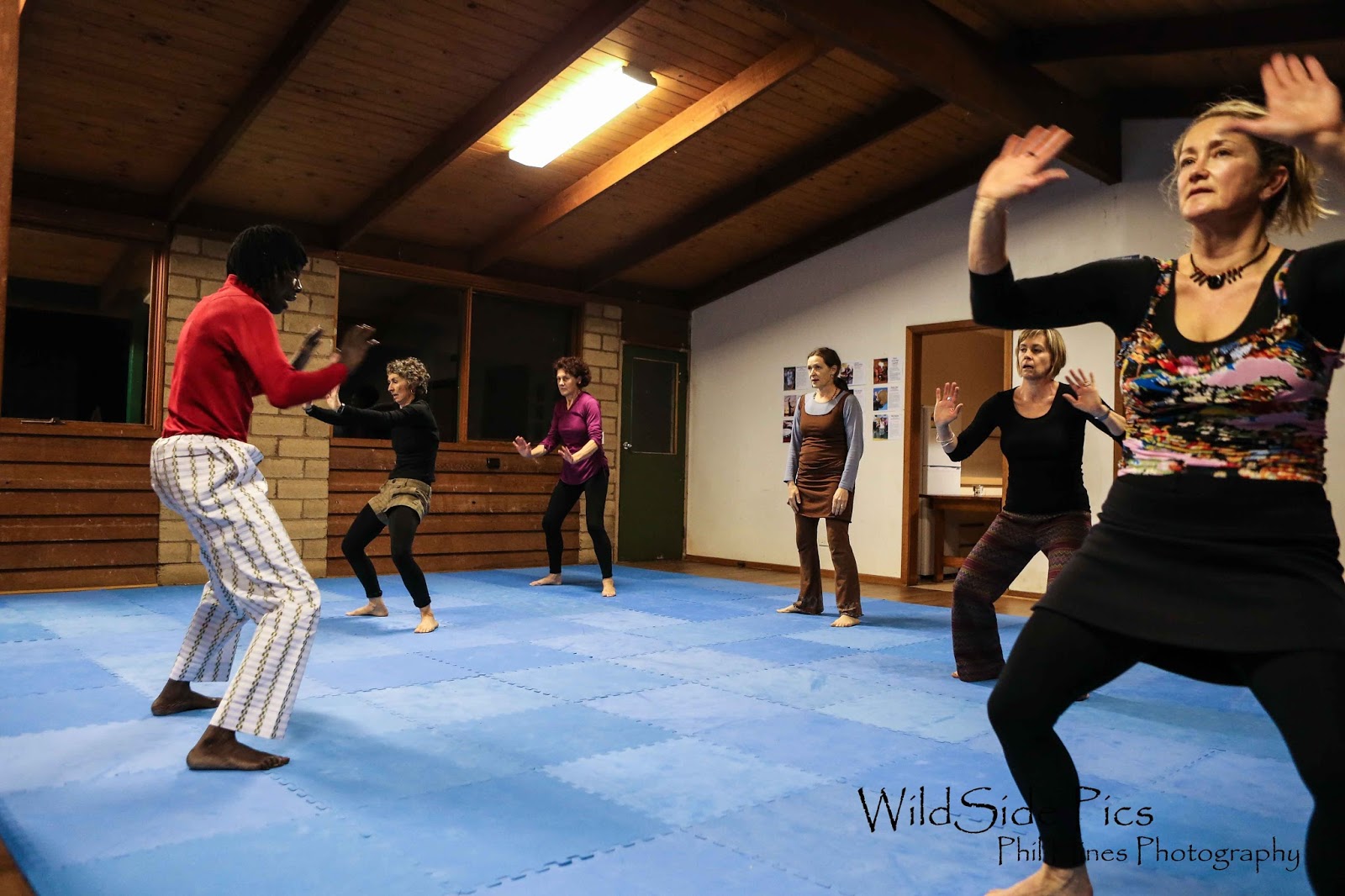 Wild Moves News and Upcoming Events