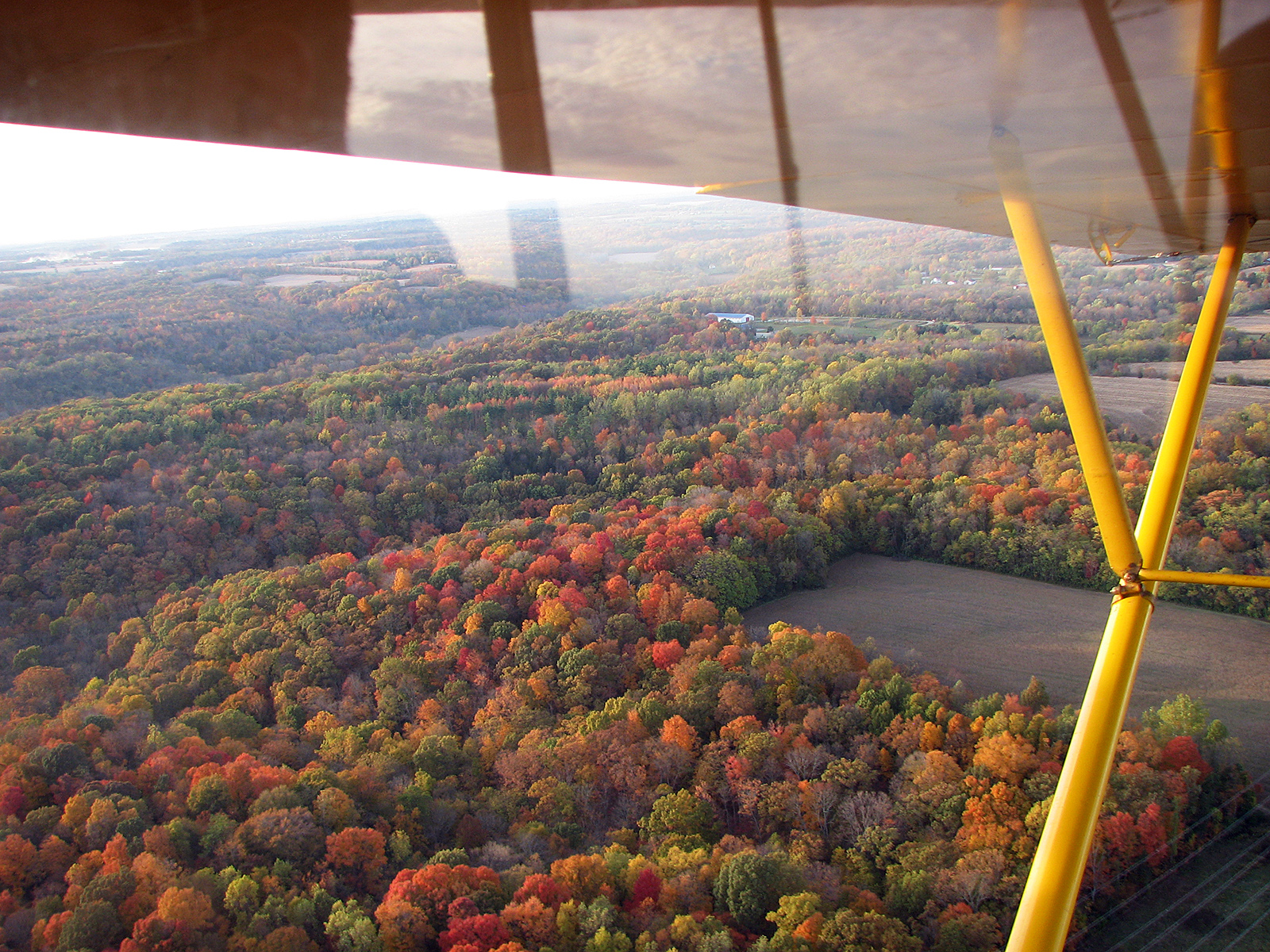 A mile of runway will take you anywhere.: Foliage in the autumn twilight