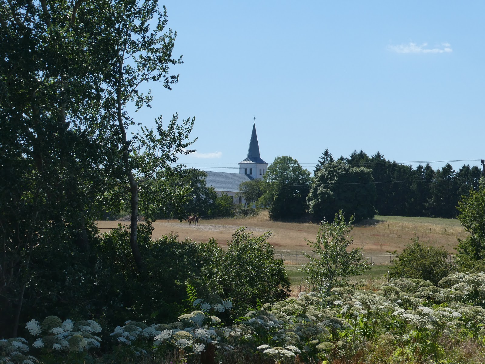 Skånska Resor: Tryde på Österlen
