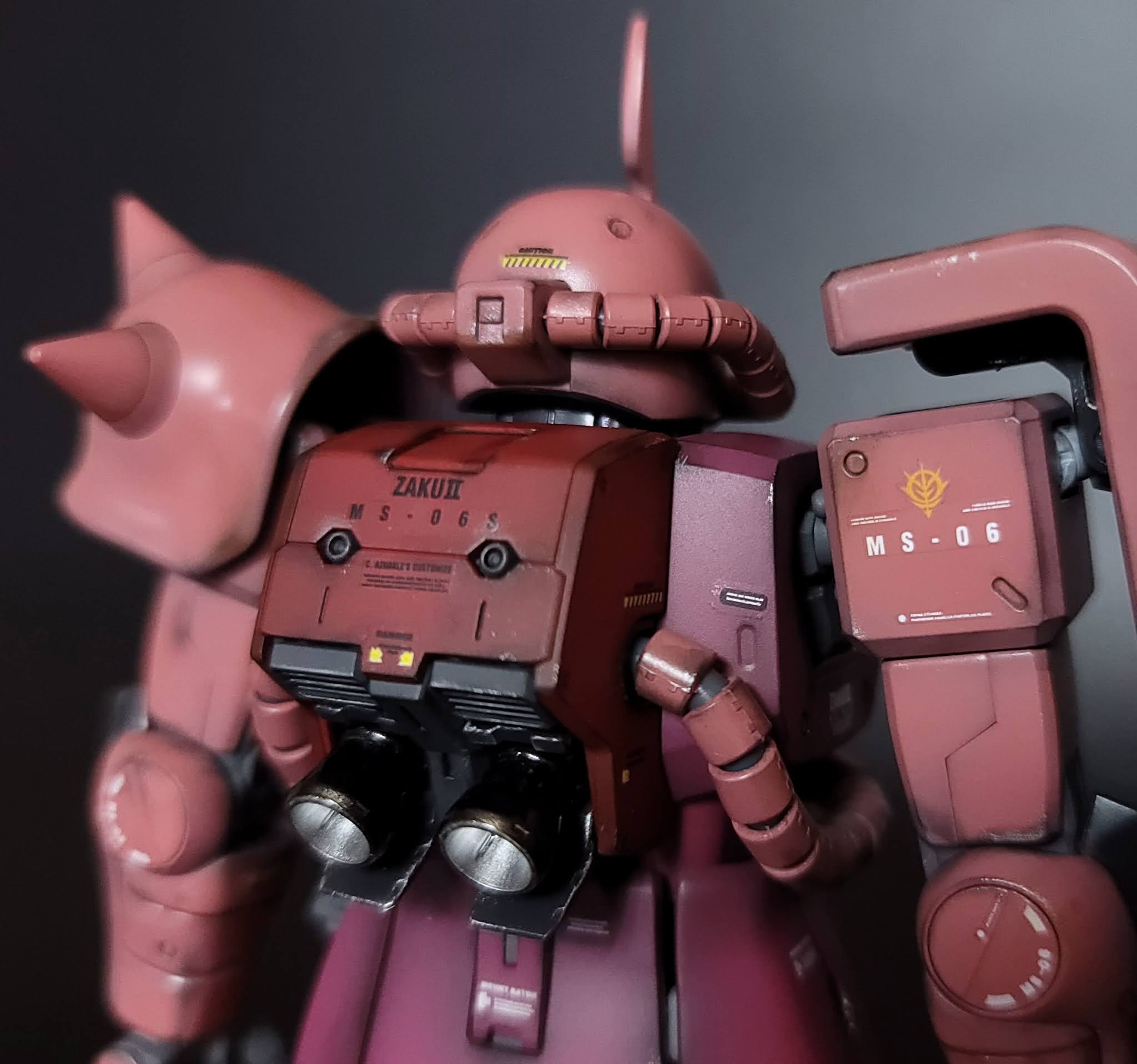 MG MS-06J Zaku II and MG MS-06S Char's Zaku II