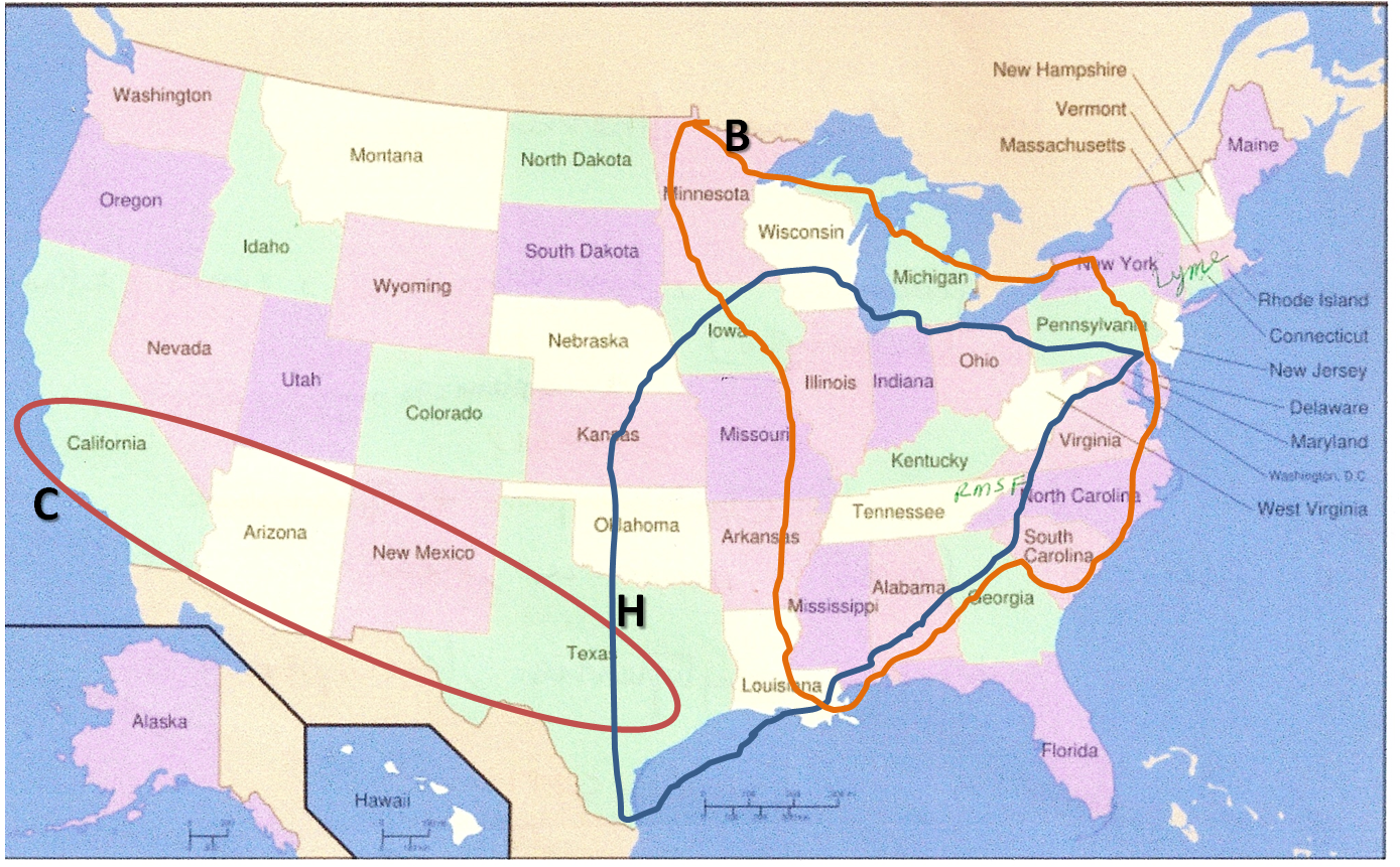 Blastomycosis Map Development Of A Duplex Real Time PCR Assay For The