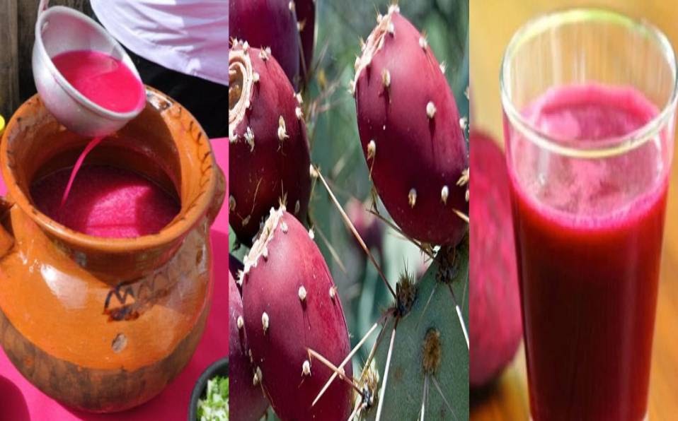 Conociendo México: Colonche, una bebida prehispánica poco conocida y en ...