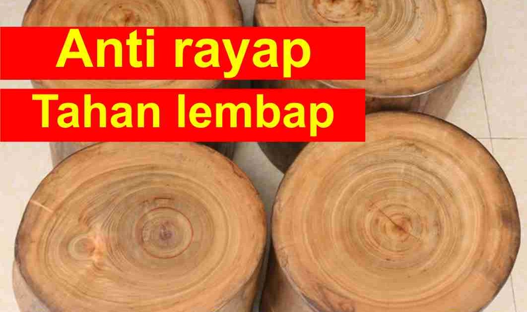 Kualitas Kayu Kamper, kayu yang kuat dan anti rayap - Lantai kayu indonesia