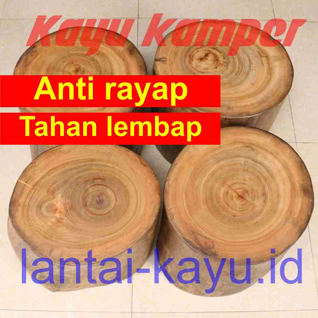 Kualitas Kayu Kamper, kayu yang kuat dan anti rayap - Lantai kayu indonesia