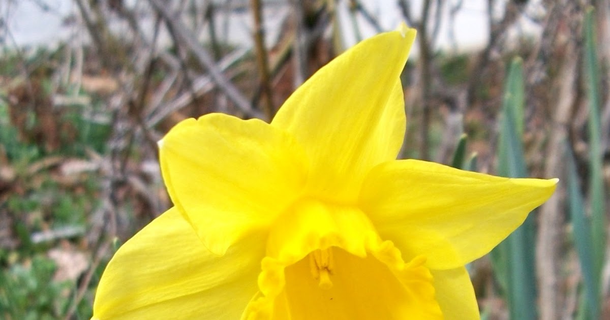 Julie B Booth: Yay Spring!