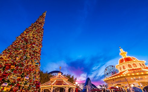 Disney Photoblography