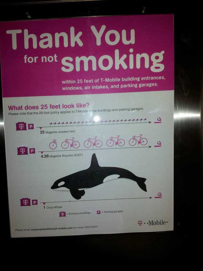 Nothing To Do With Arbroath What Does 25 Feet Look Like 