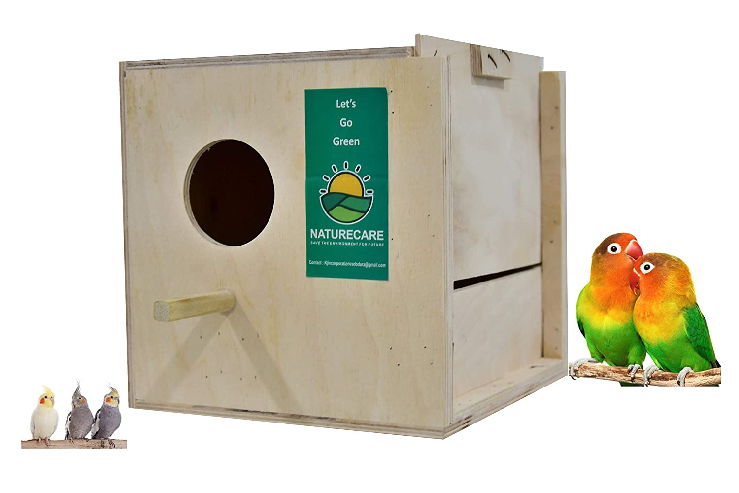 Cockatiel Breeding Tips Business cockatiel-breeding-tips-business