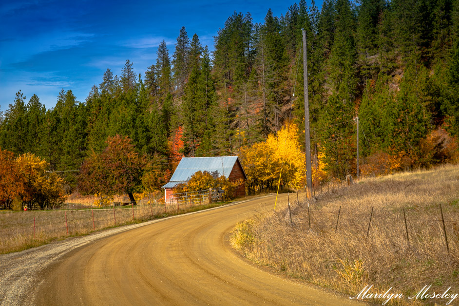 A Season of Splendor | Mountain Top Spice