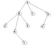 Basic Tree Terminologies
