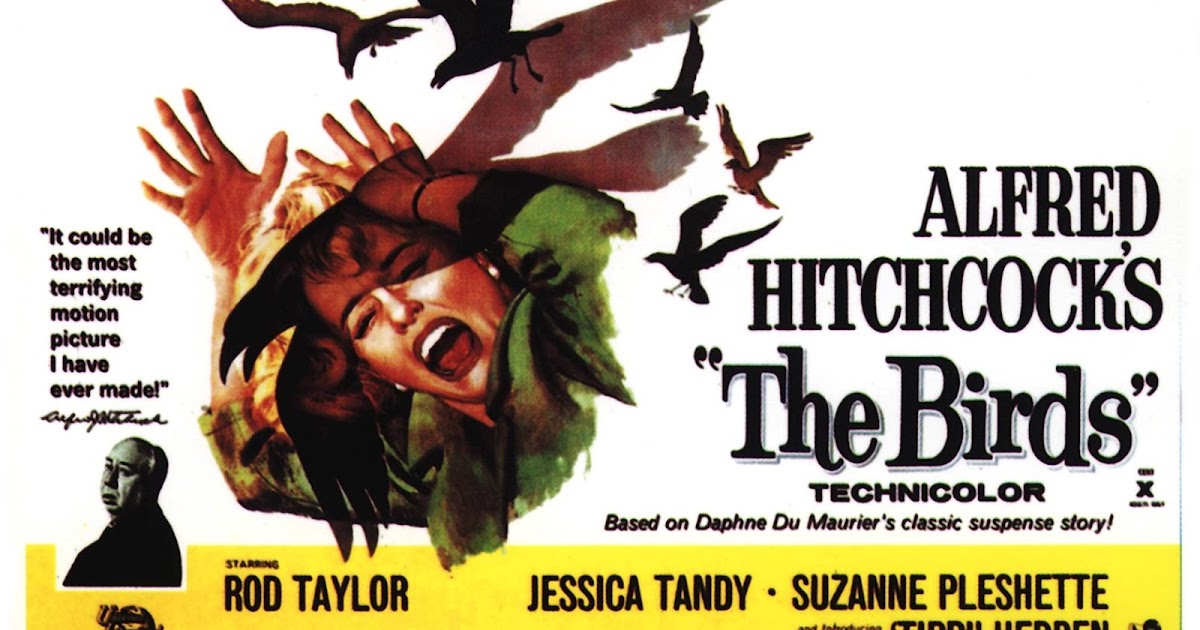 Obscure Video And DVD Blog: THE BIRDS 1963 (UNIVERSAL) BLU-RAY