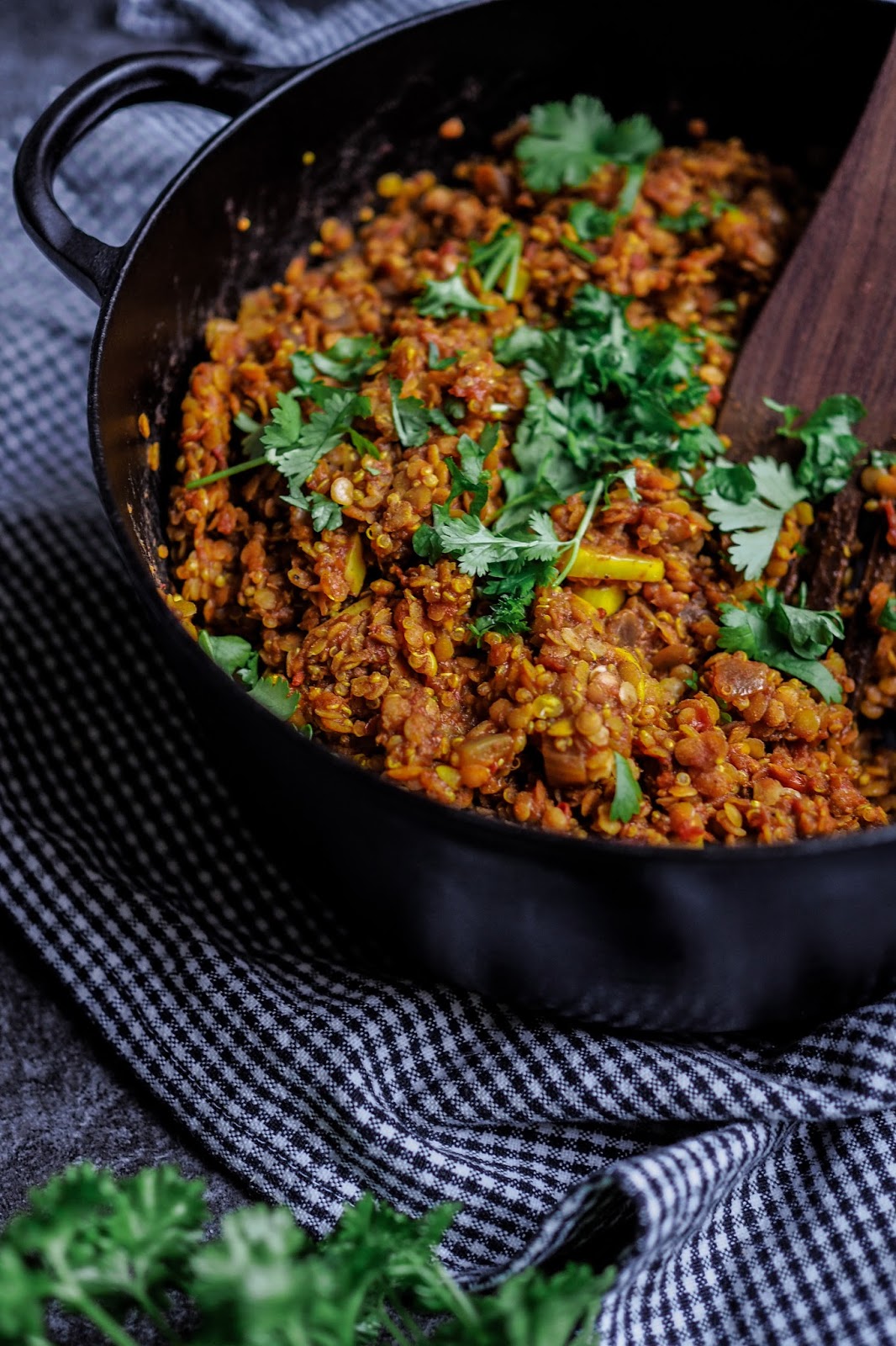 Lämmittävä linssi-kvinoapata (gl,v) | Nuts for wellness - terveellisiä ...