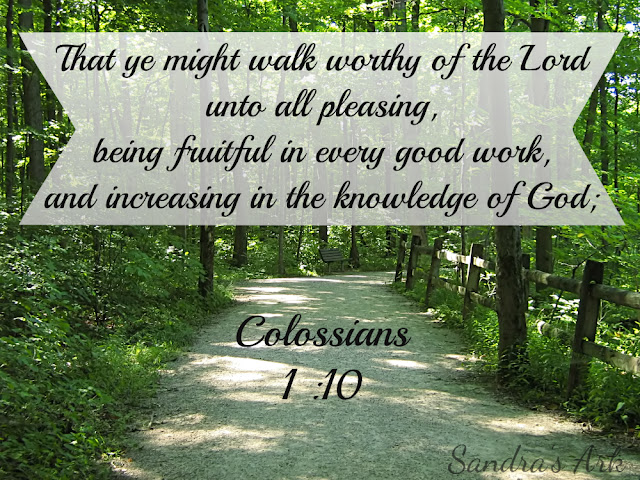 Sandra's Ark: Reading Through The Bible - COLOSSIANS