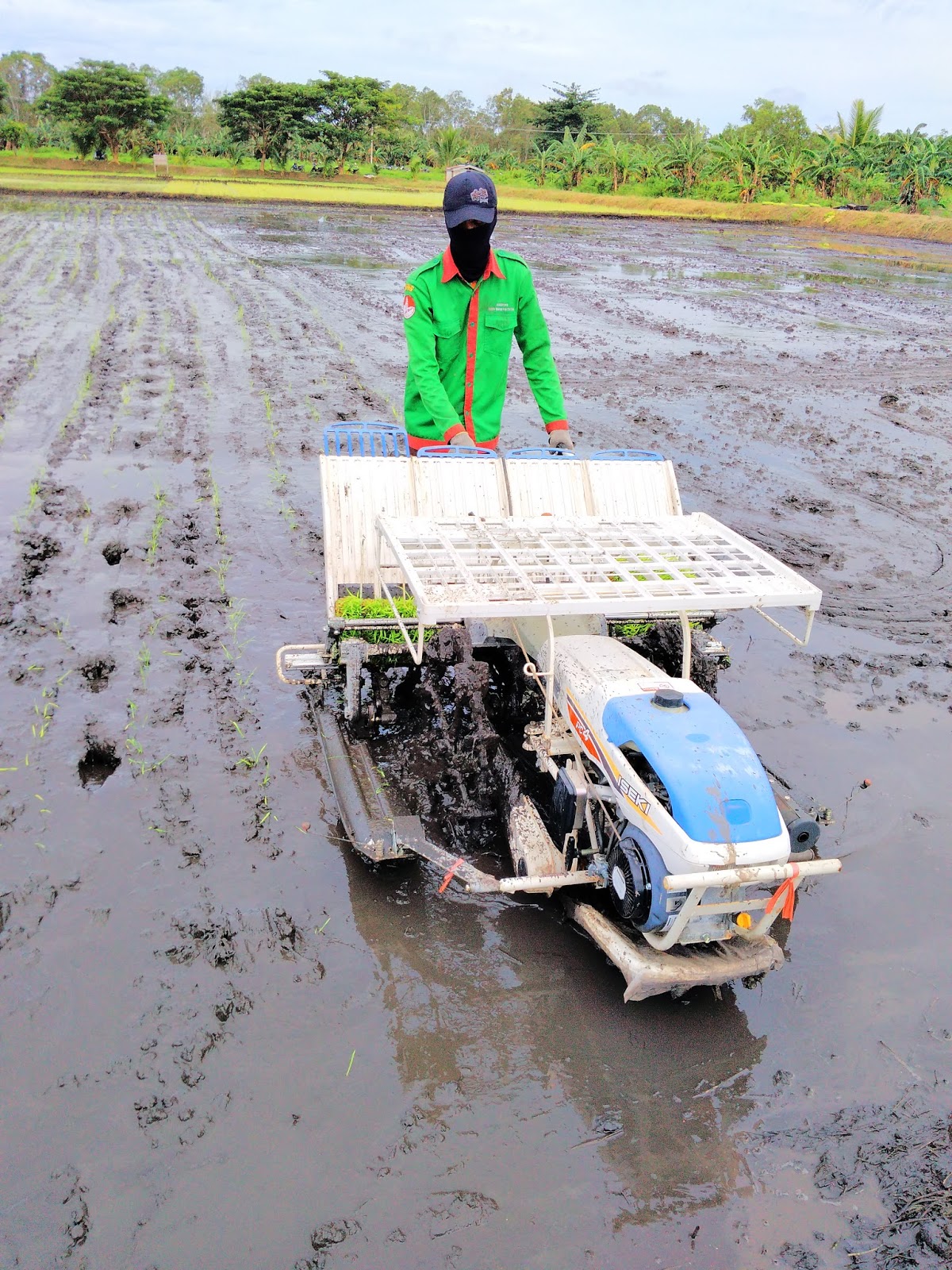 SMK NEGERI 1 TANAH MIRING MERAUKE PAPUA: TANAM PADI DENGAN MESIN RICE ...