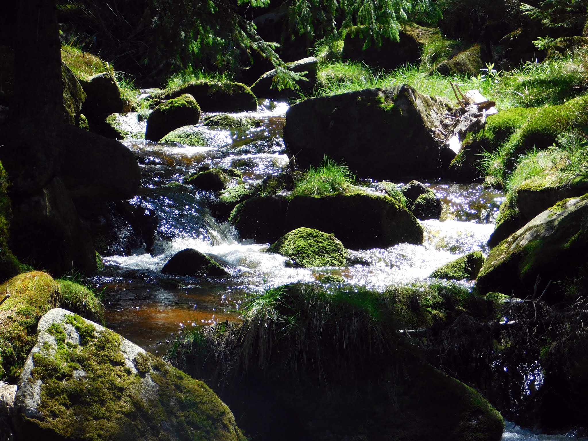 Góry Izerskie: wędrówka z Jakuszyc przez Schronisko Orle oraz rzeka ...