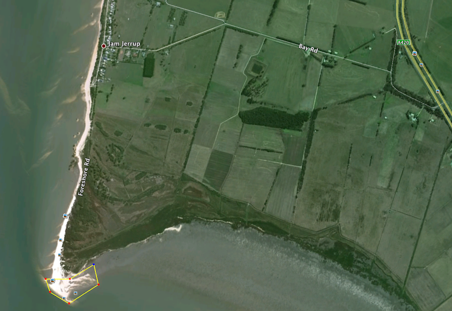 Jennifer Spry's Birding Blog: Gull-billed Tern affinis at Stockyard Point