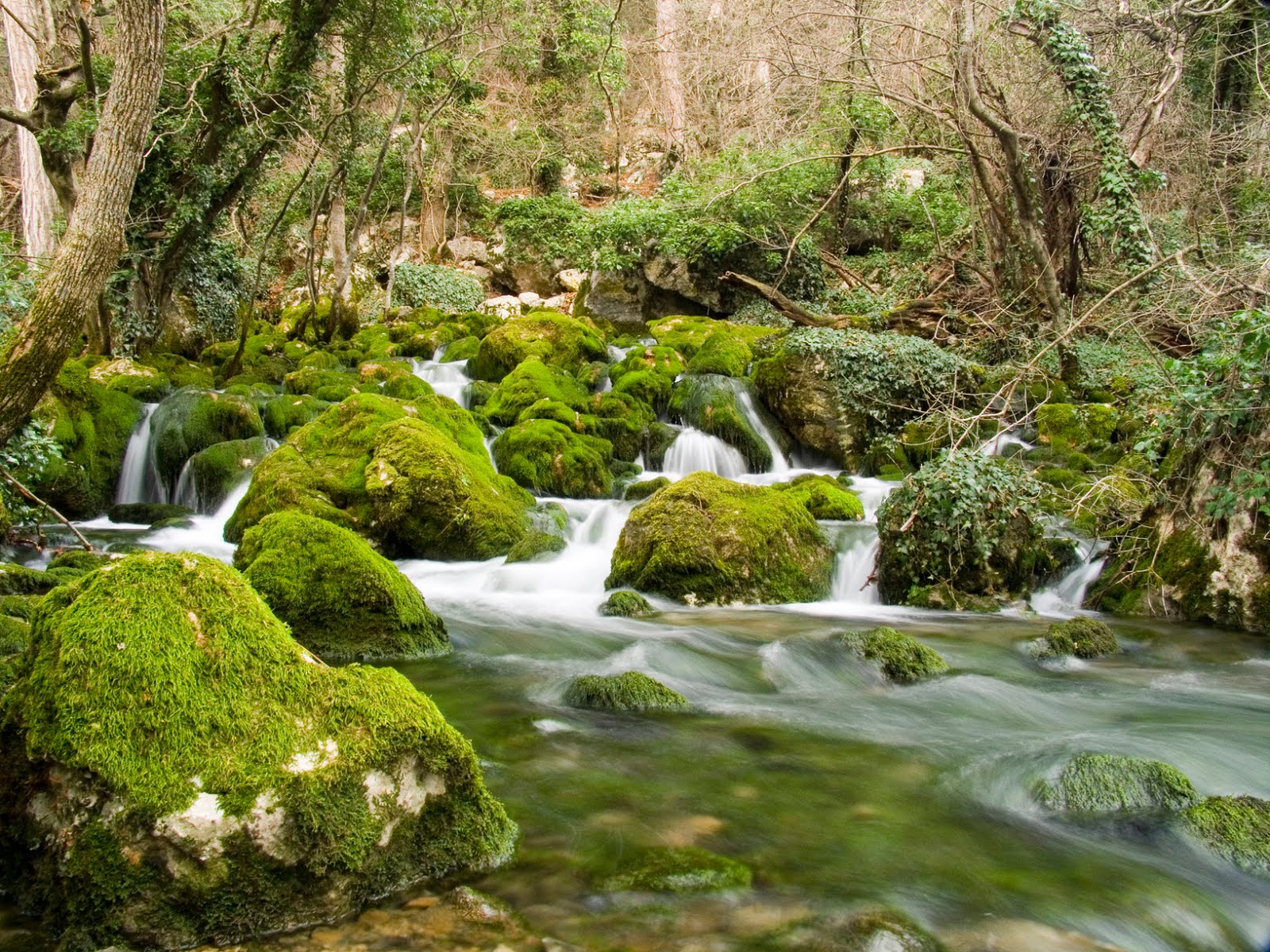 BANCO DE IMÁGENES: Río de agua viva cruzando por las rocas cubiertas de ...