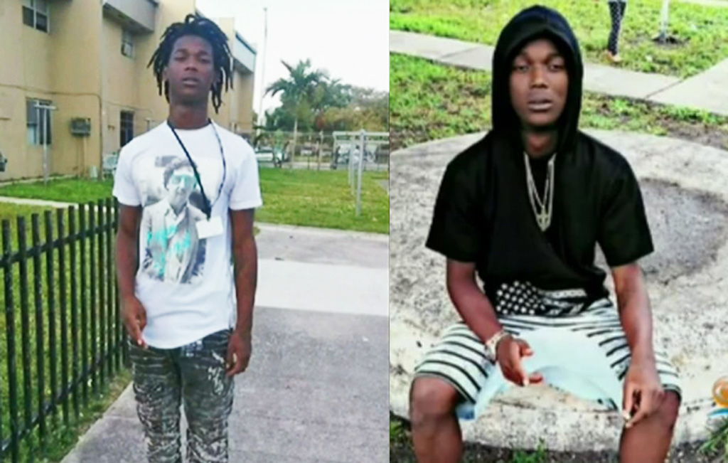 DuPage sheriff deputy fatally shoots feral Negro teen, Trevon Johnson ...