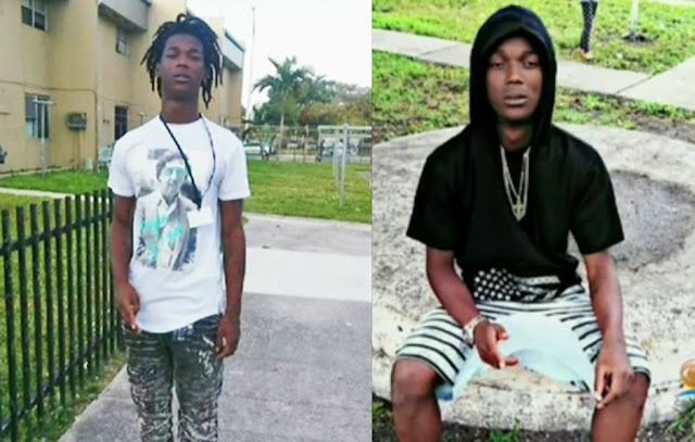 DuPage sheriff deputy fatally shoots feral Negro teen, Trevon Johnson ...