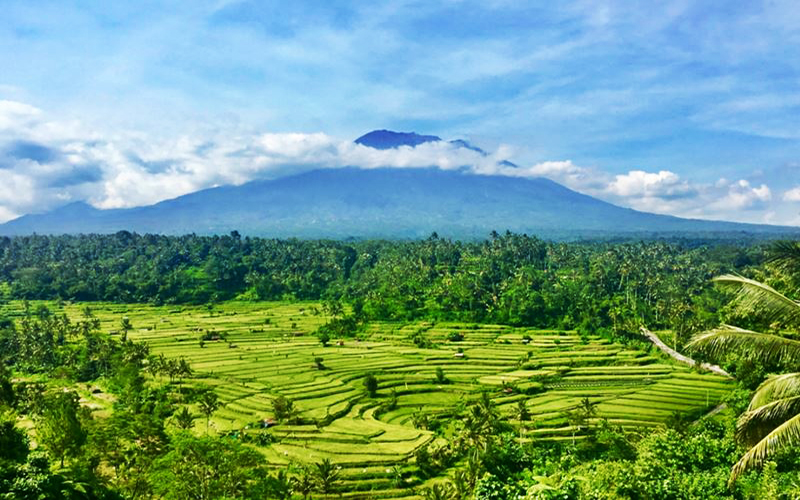 Bukit Jambul Presenting the Beauty of the Hill and Valley Expanse in Bali