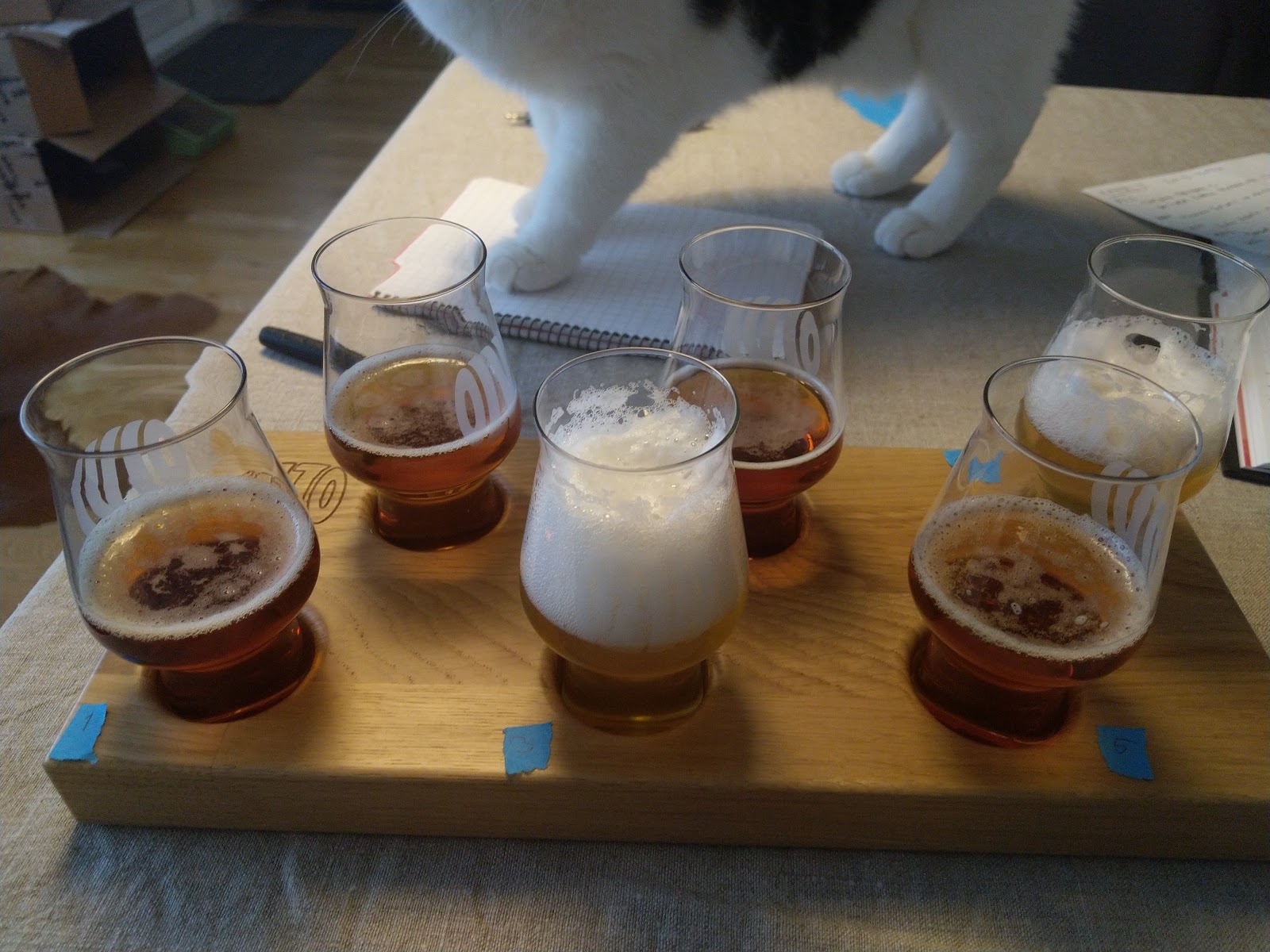 IPA vs. alkoholiton IPA x2 sokkotestissä (Laitila ja Hartwall)