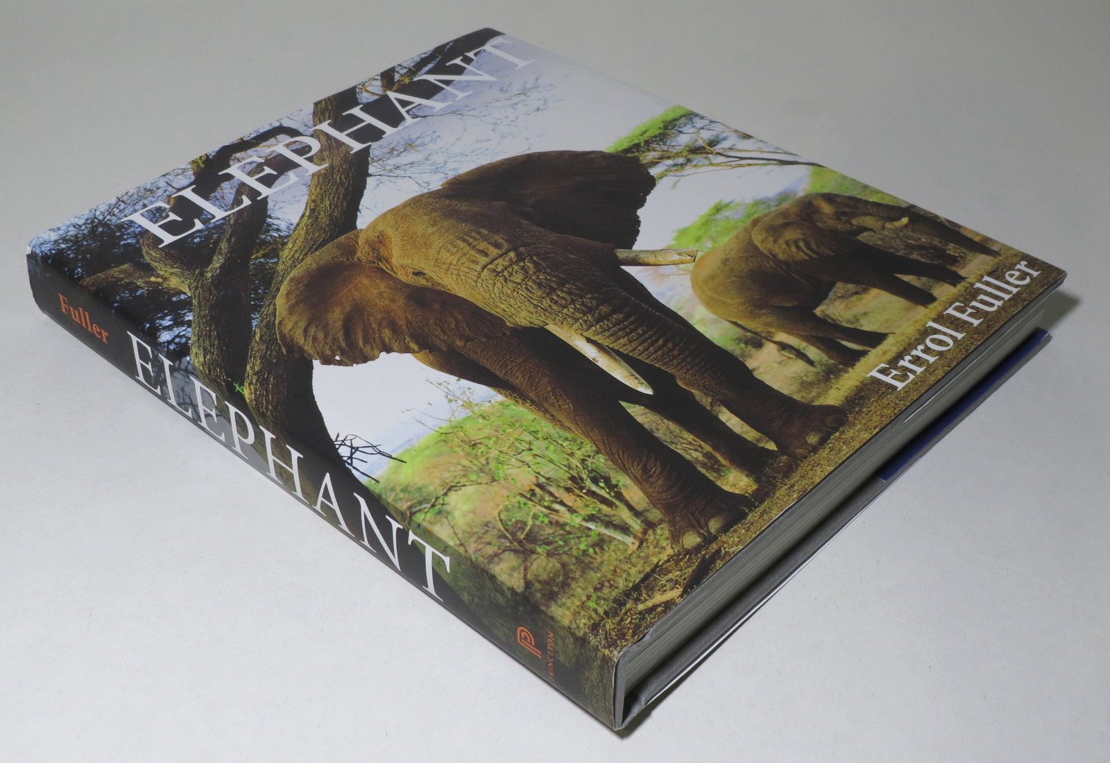 Book Review - Elephant - Princeton University Press - Travels With Birds
