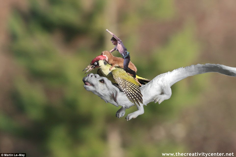 Interesting Green: Weasel photographed riding on a woodpecker's back