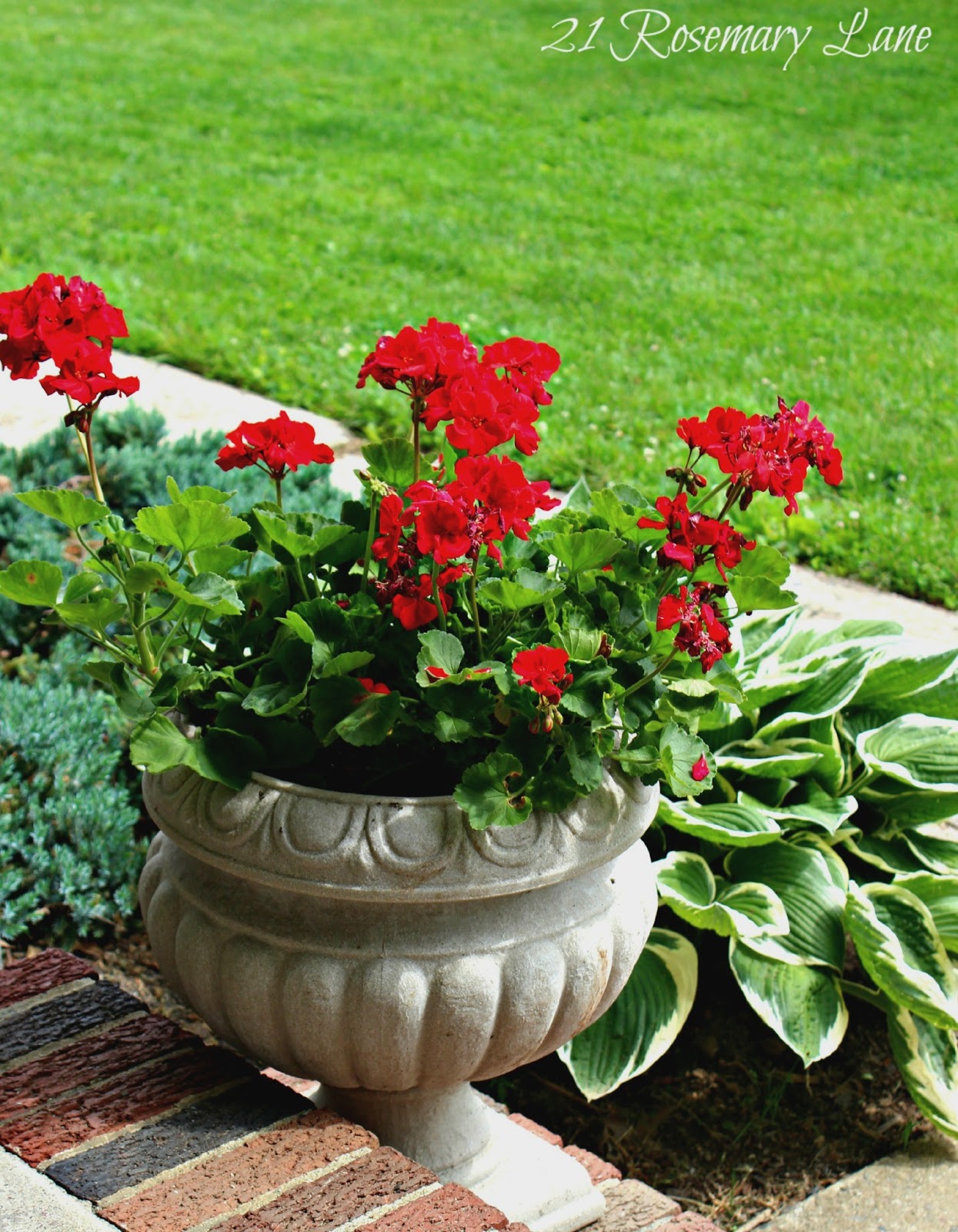 21 Rosemary Lane: Front Porch Revival ~ How I Prettied it Up!