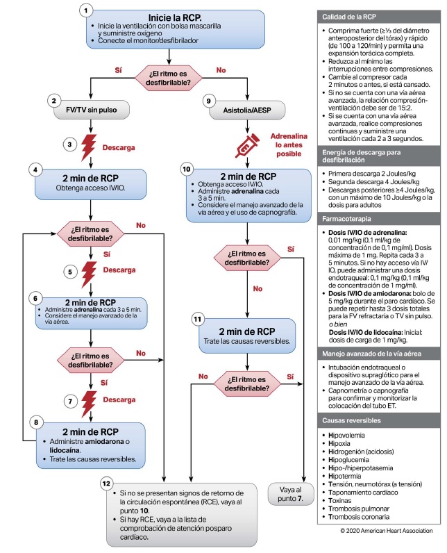 Actualización AHA 2020